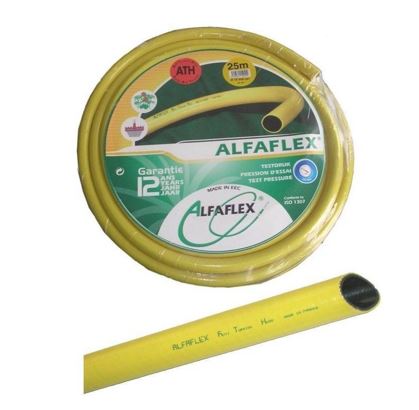 Slang Narcis, geel - Tuinslang Narsis - Stadex